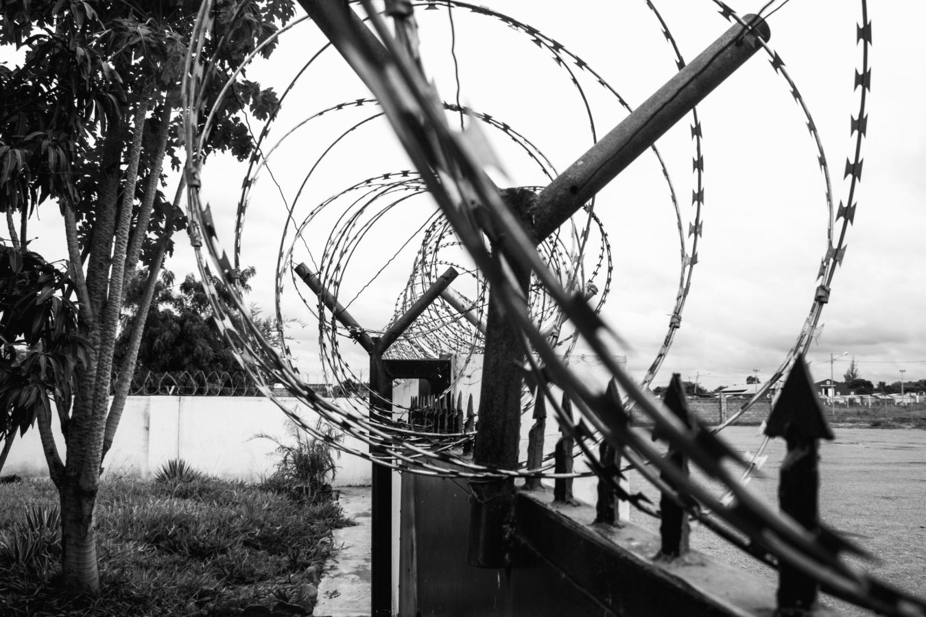 On the Fence Line: Mail Call #6: Do you tell your family the truth ...